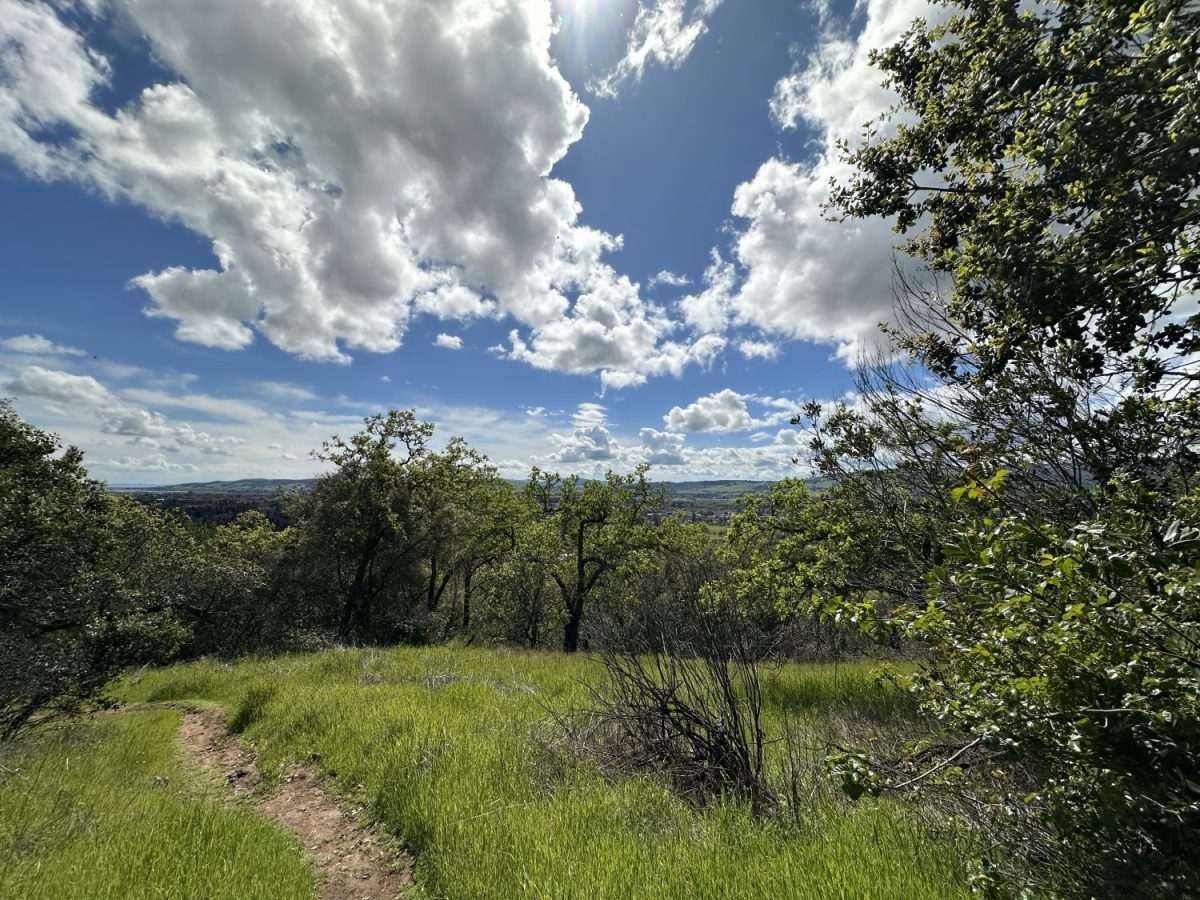 The mountains are calling…. | Sonoma Overlook Trail • Montini Open ...